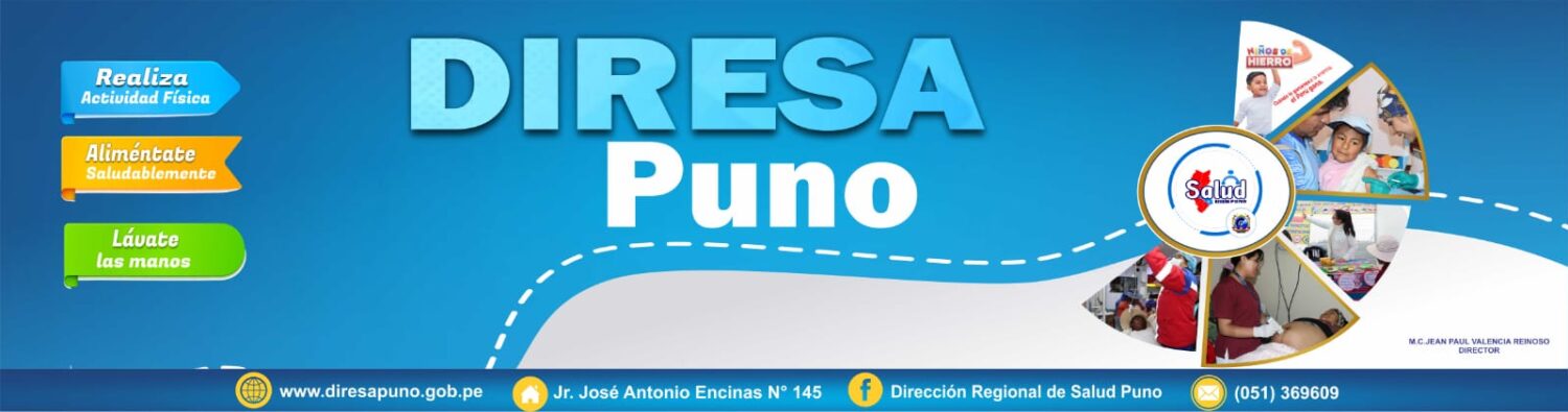 Diresa Puno Logo Plan Estratégico Institucional DIRESA PUNO | PDF